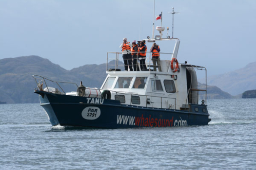 Tanu Boat - Autograph Safaris