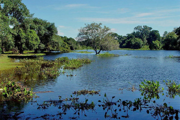 Pantanal - Autograph Safaris