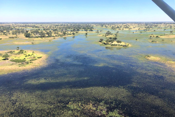 Concession de Kwando - Autograph Safaris